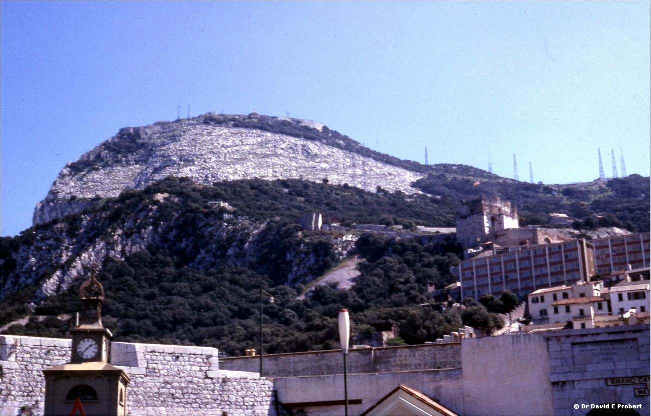 Nevasa - JungleKey.in Image