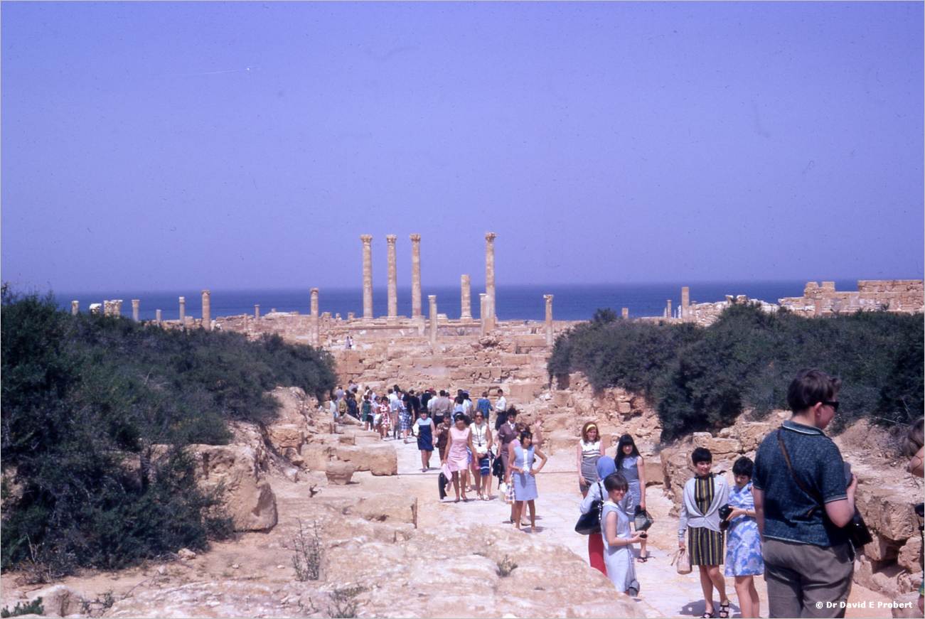 Nevasa - JungleKey.in Image